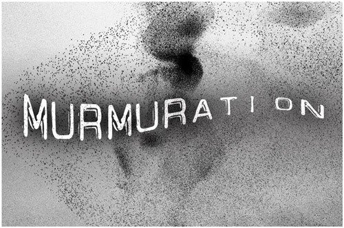 Murmuration - French Broad River Brewery